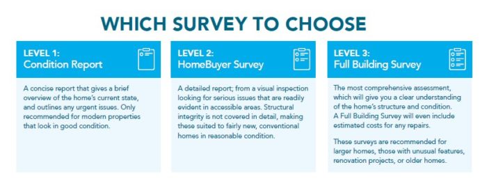 Which Survey to Choose when Buying a House - Allcott Associates